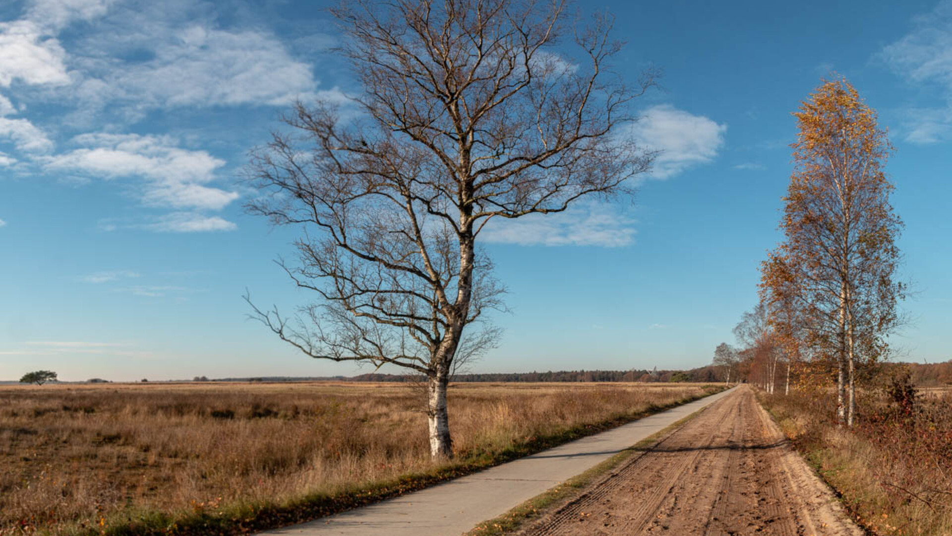 GroenLinks over Perspectief nota 2023 | GroenLinks Midden-Drenthe GroenLinks over Perspectief nota 2023 | GroenLinks Midden-Drenthe
